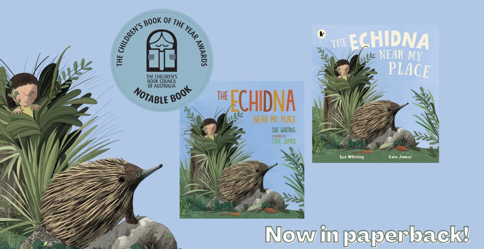 Sue Whiting - children's and young adult author and editor